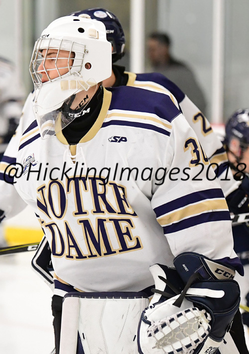 Raphaël Audet - Elite Prospects