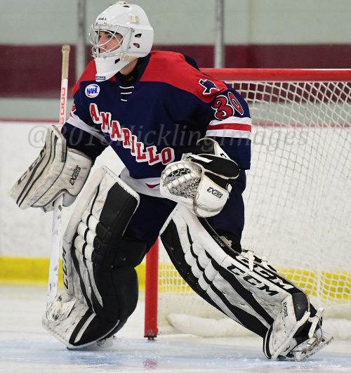 Jason Grande - Elite Prospects