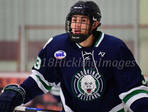 David Israel - Elite Prospects