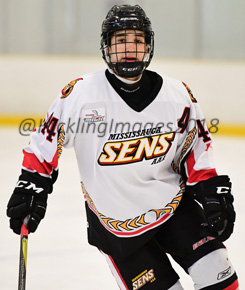 Thomas Haynes - Elite Prospects