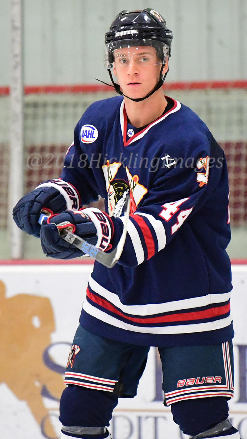 Ethan Webb - Elite Prospects