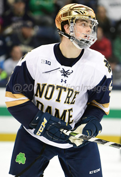 Matt Hellickson - Elite Prospects