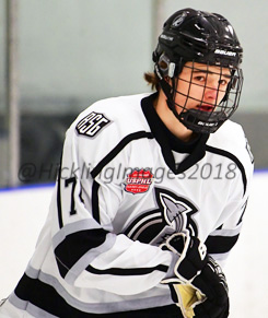 Nick Fea - Stats & Facts - Elite Prospects