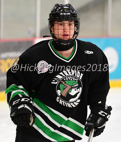 Anthony Hamel - Elite Prospects