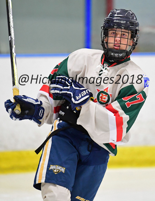 Jason Gallucci - Elite Prospects