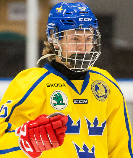 Erik Hedlund - Elite Prospects