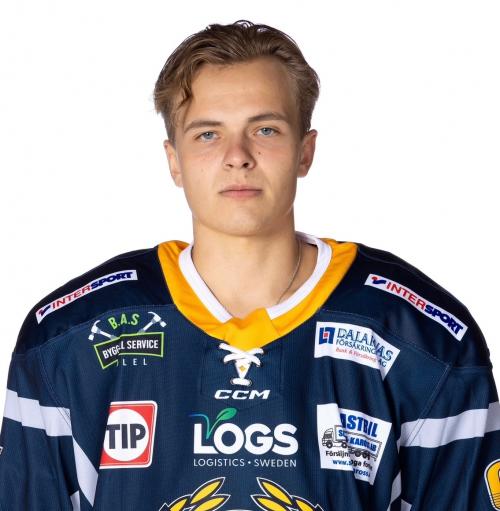 Alfred Bergman - Stats, Contract, Salary & More