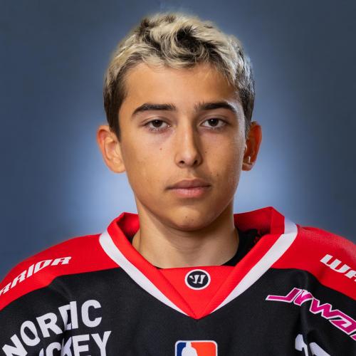 Ugo Courtois - Stats, Contract, Salary & More