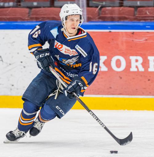 Santeri Huovila - Stats & Facts - Elite Prospects