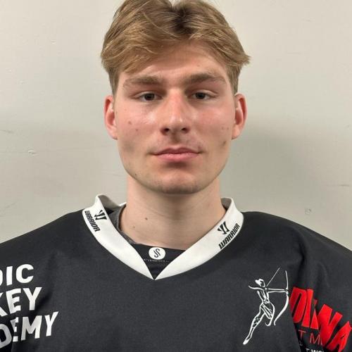 Matej Petretic - Stats, Contract, Salary & More