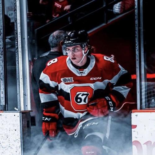 Frankie Marrelli - Stats & Facts - Elite Prospects