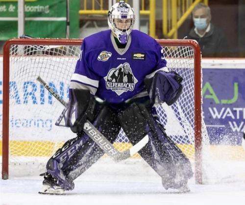Owen Say - Elite Prospects