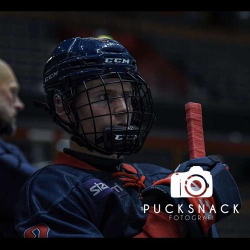 Alexander Fredriksson - Stats & Facts - Elite Prospects
