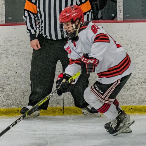 Dante D'Ambrosio - Stats, Contract, Salary & More