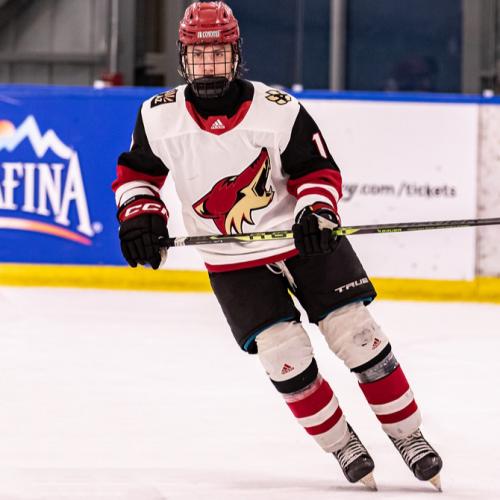 Christopher Graves - Stats & Facts - Elite Prospects