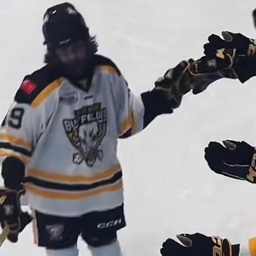 Cole Halbrook - Stats, Contract, Salary & More