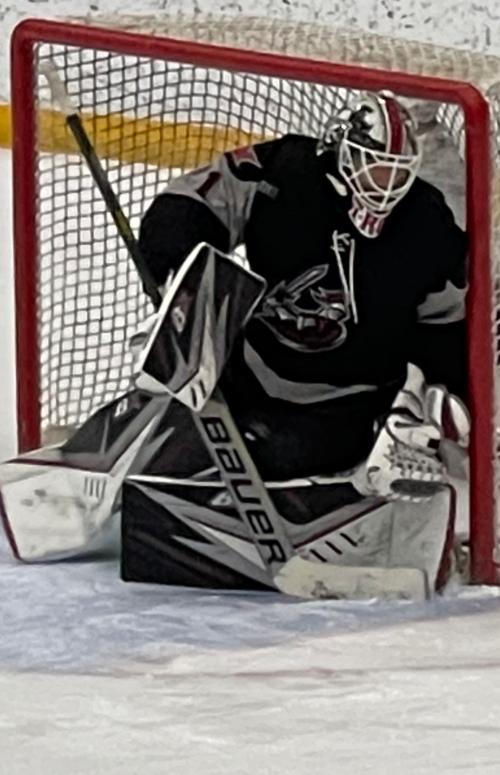 Tyler Roy - Stats, Contract, Salary & More