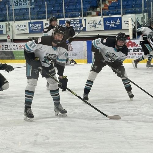 Maxime Simard - Stats, Contract, Salary & More