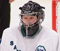 Felix Englund - Stats & Facts - Elite Prospects