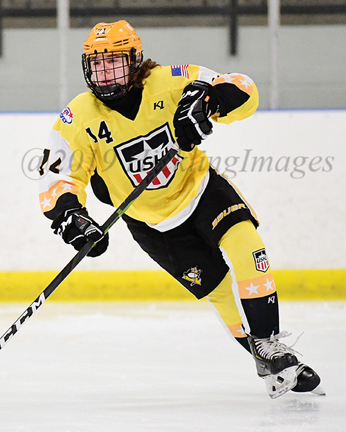 Connor Ferguson - Elite Prospects