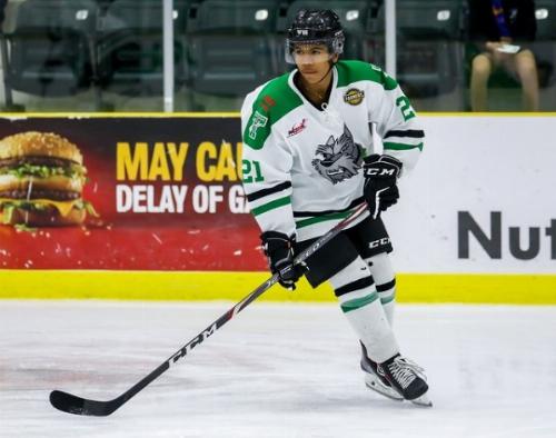 Austin Peters - Elite Prospects