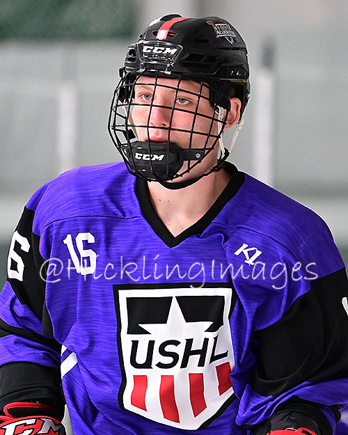 David Grosek - Elite Prospects