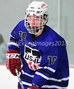 Adam Harvey - Elite Prospects