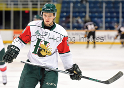 Taylor Ford - Stats & Facts - Elite Prospects