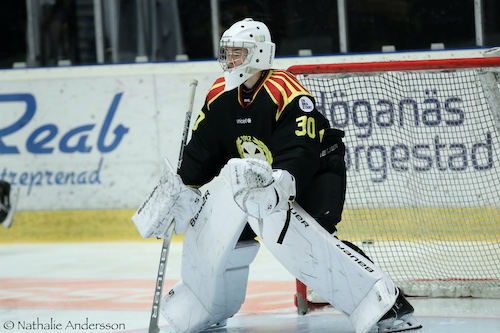 Samuel Jonsson - Stats, Contract, Salary & More