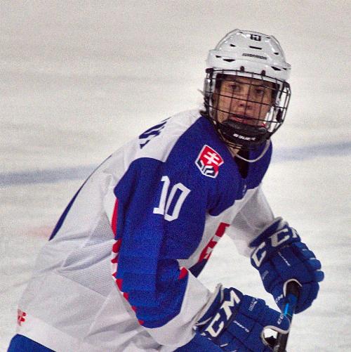 Janka Hlinka - Elite Prospects
