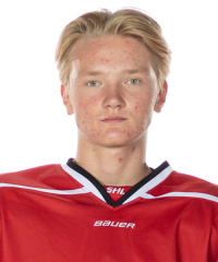 Johan Persson - Elite Prospects