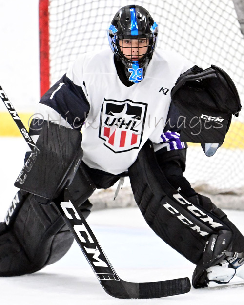 Marcus Johnson - Elite Prospects