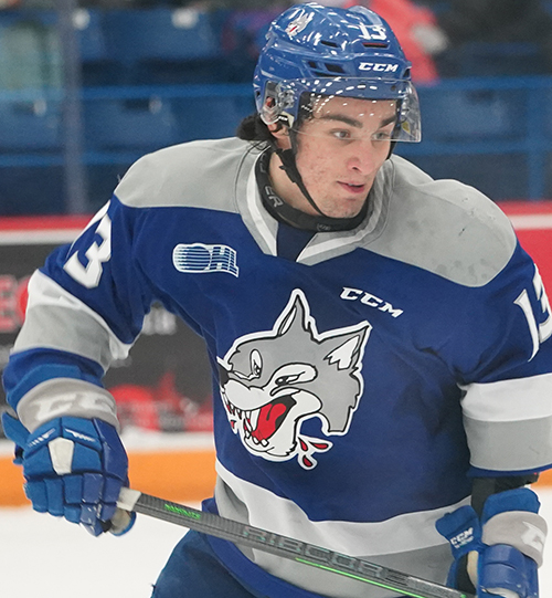 Kocha Delic - Elite Prospects