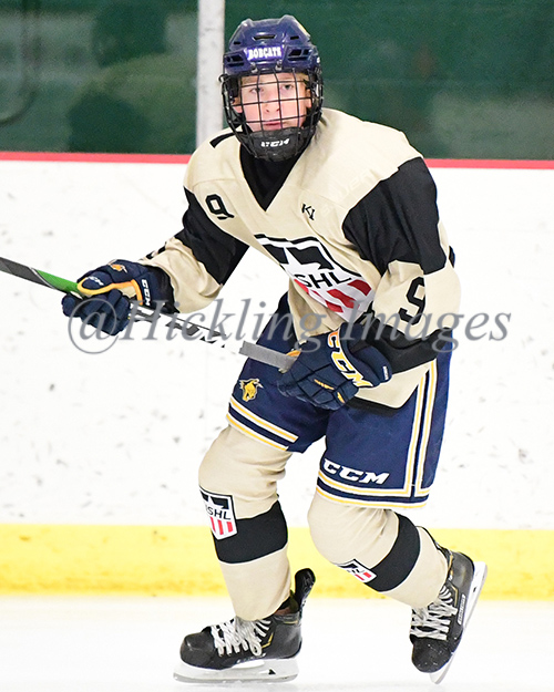 Chayse Laurie - Elite Prospects