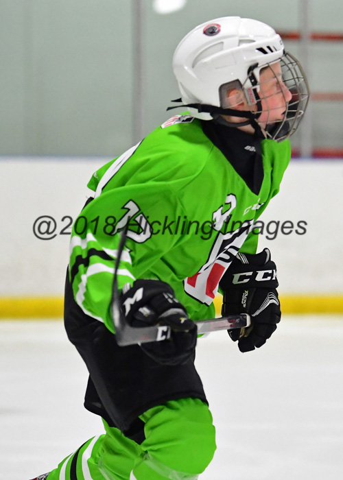 David Lebel - Elite Prospects