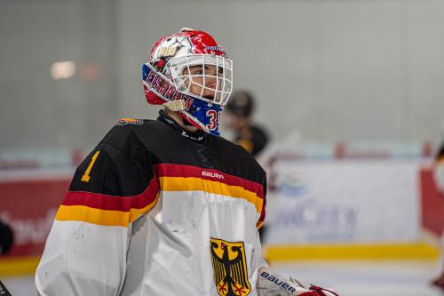 Linus Vieillard - Stats, Contract, Salary & More