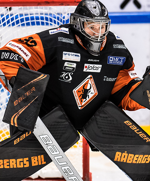 Arvid Ljung - Stats, Contract, Salary & More