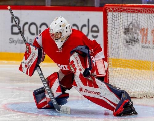 Max Larsson - Elite Prospects