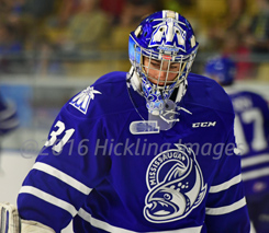 Joe Murdaca - Elite Prospects