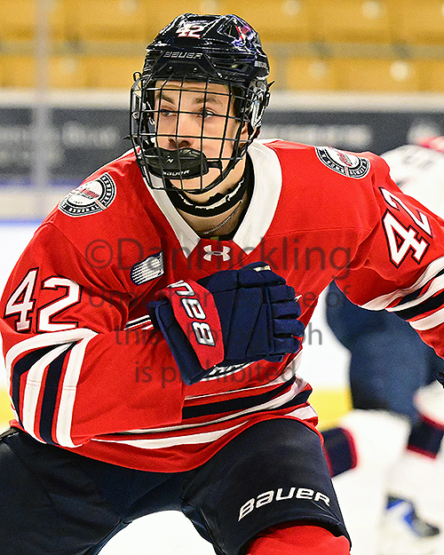 Ethan Neller - Stats, Contract, Salary & More