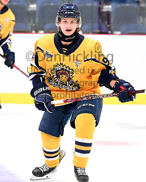 Hayden Gagnon - Stats, Contract, Salary & More