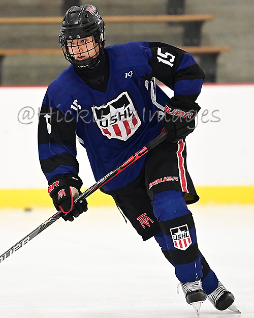 Hayden Newman - Elite Prospects