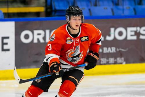 Nick Sajevic - Stats & Facts - Elite Prospects