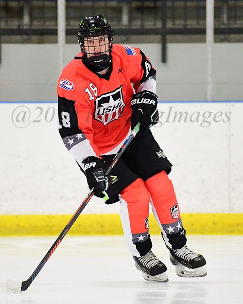 Connor Picard - Elite Prospects