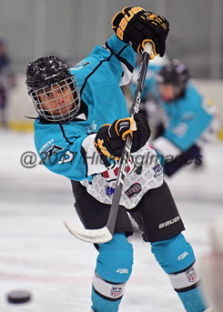 John Rangel - Elite Prospects