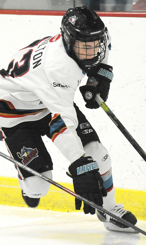 Rhett Hamilton - Stats & Facts - Elite Prospects