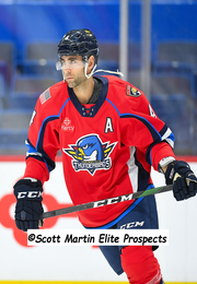 Tommy Cross - Elite Prospects