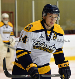 Mathieu Olivier - Elite Prospects