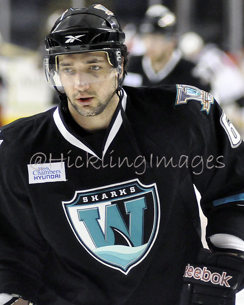 Nicholas Schaus - Elite Prospects