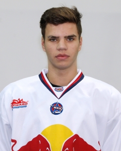 Sebastian Zauner - Stats, Contract, Salary & More